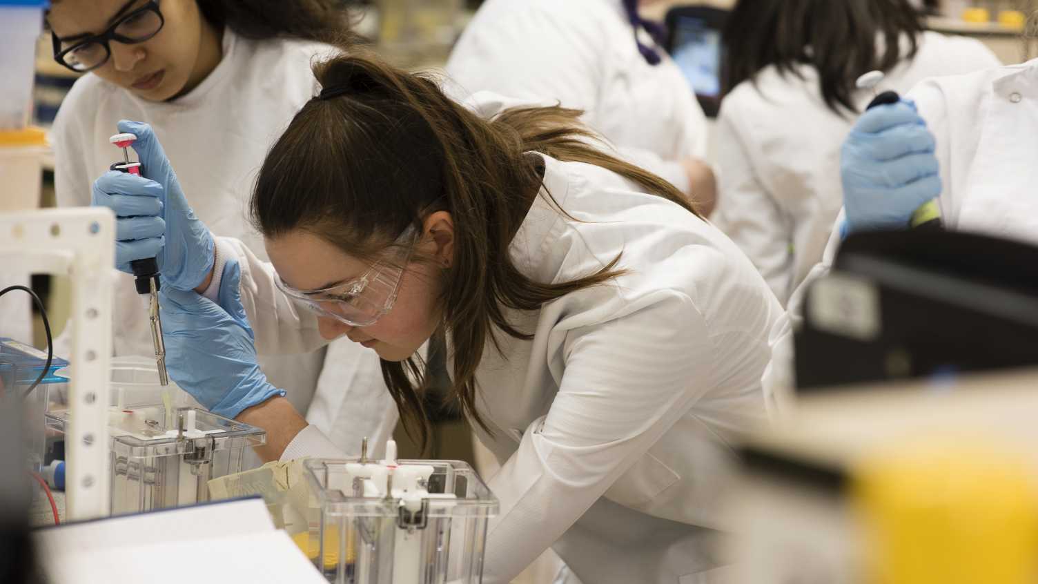 Biological Sciences: Addressing Global Challenges While Building a Successful Career ...